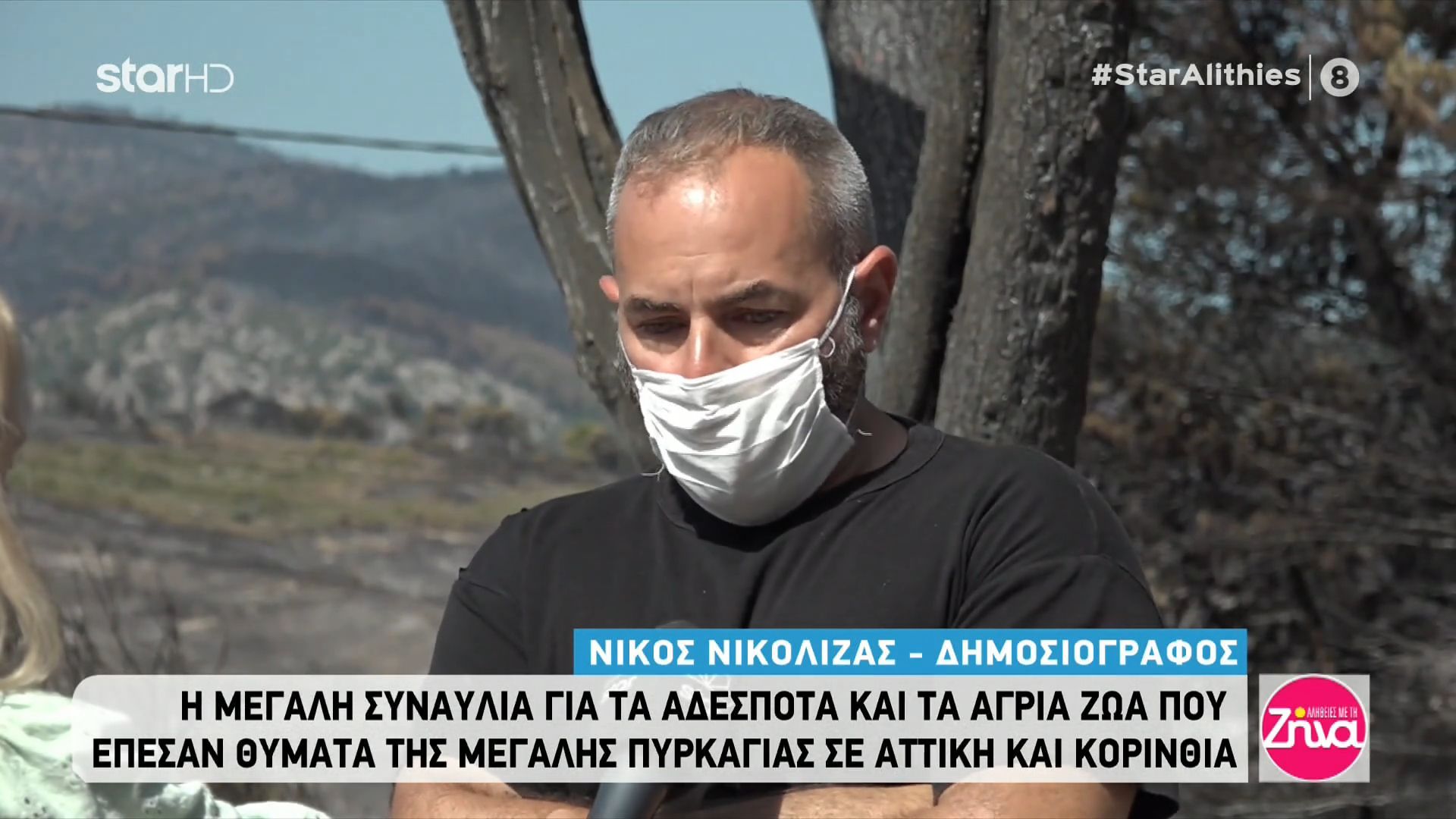 Νίκος Νικόλιζας: Η μεγάλη συναυλία για τα αδέσποτα και τα άγρια ζώα που ...