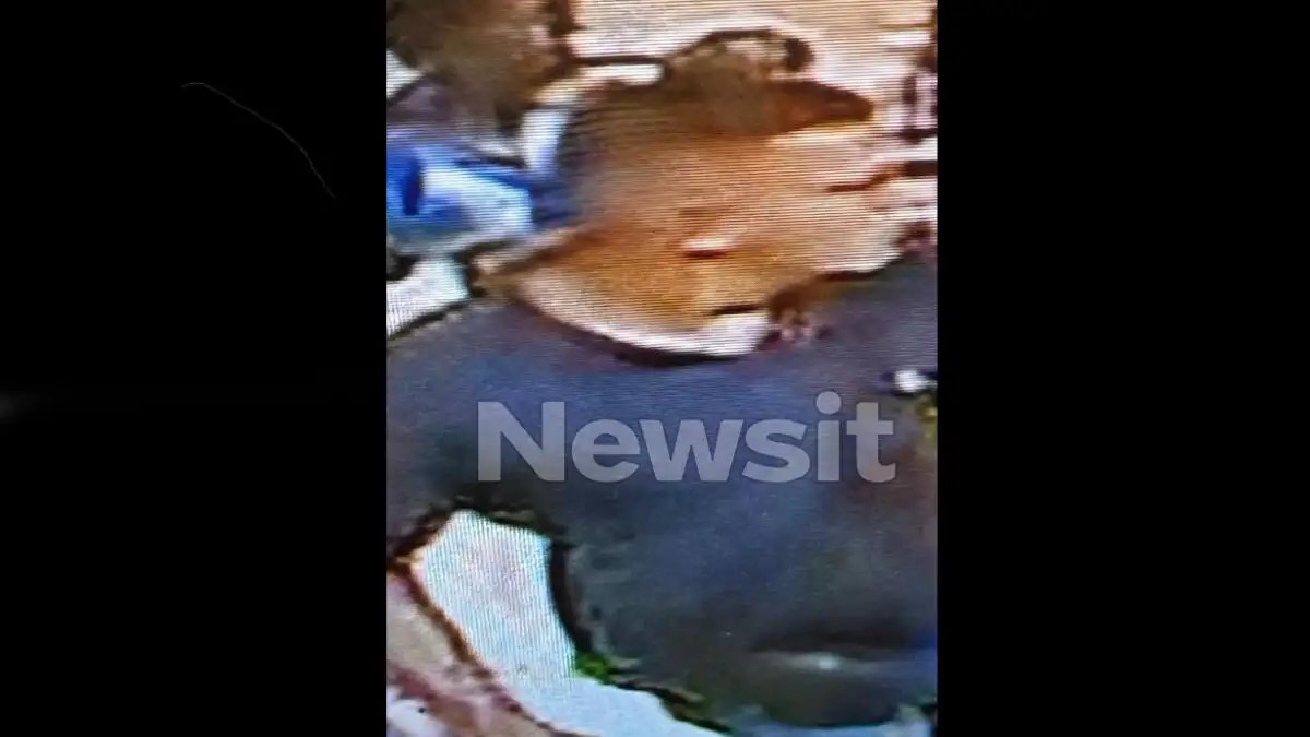 Συνελήφθη και ομολόγησε ο 17χρονος που άρπαξε το μωρό από τον Πειραιά ...